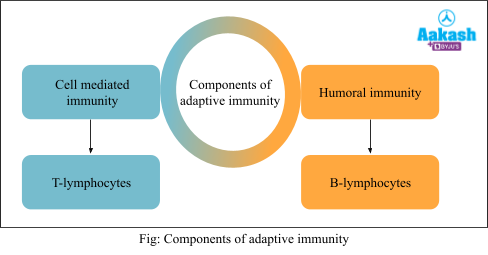 Acquired immunity: Definiton, Types of Immunity and Practice Questions | AESL